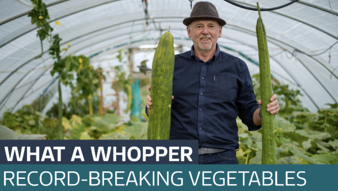 Veg grower from Gloucestershire has best year yet breaking four world ...