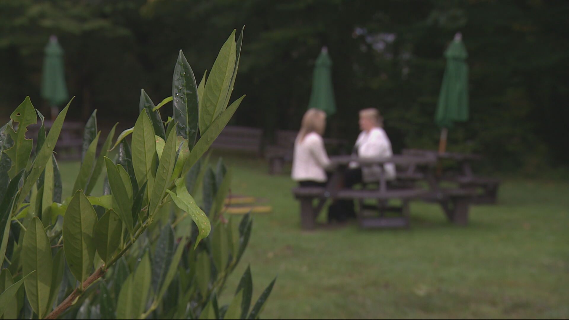 Domestic abuse survivor who battled cancer supports new toolkit to ...