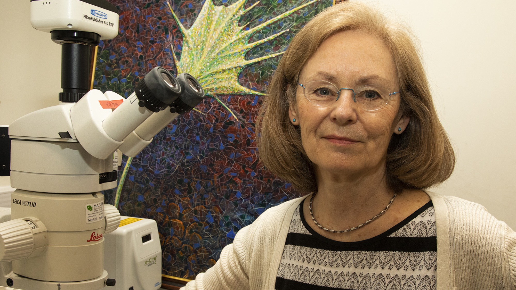 Cambridge Brain researcher wins world's top neuroscience award and ...