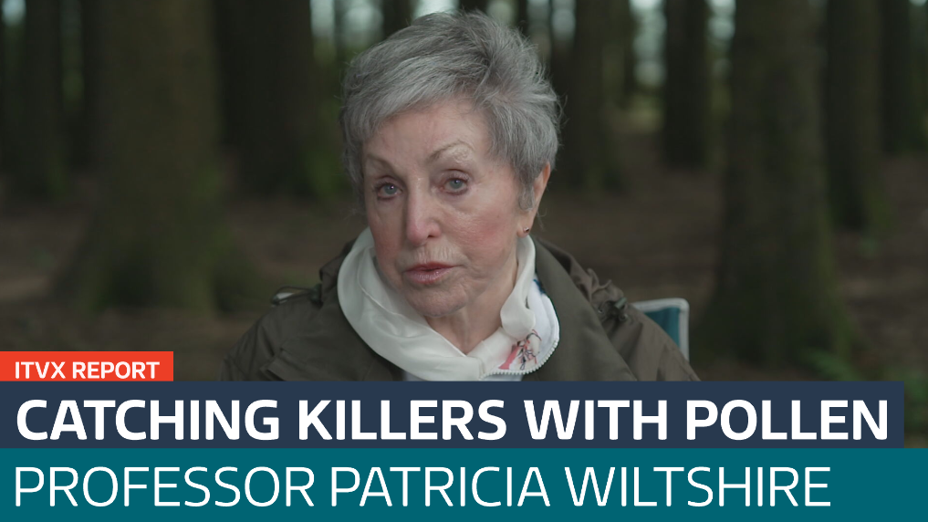 Pollen expert revisits burial site to explain the power of forensic ...