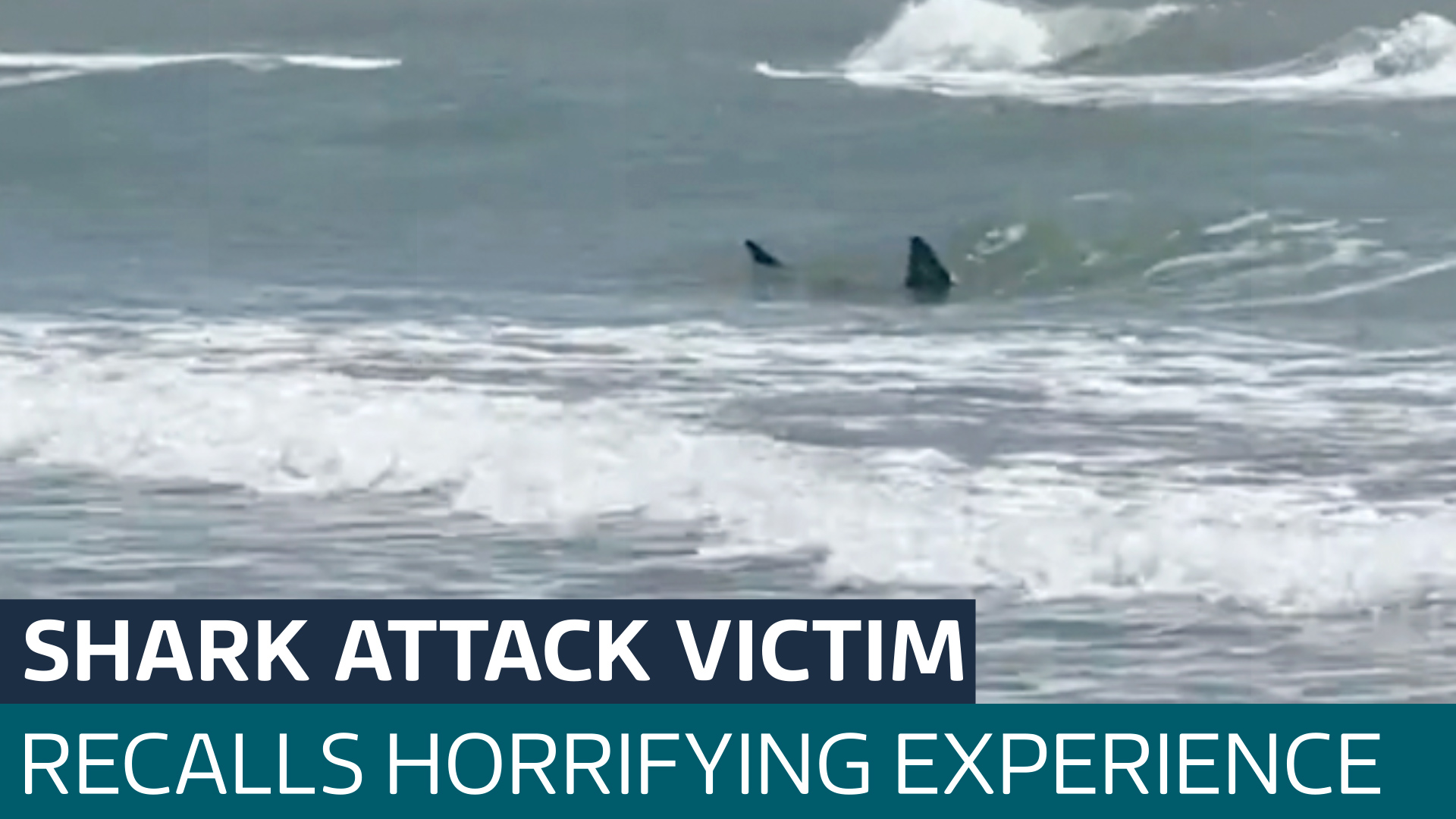 Woman recalls horrifying moment she was attacked by 'crazy' shark ...