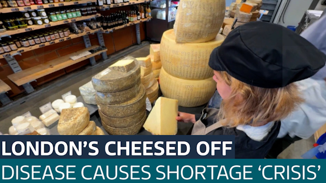 The cattle condition that's causing a London cheese shortage 'crisis ...