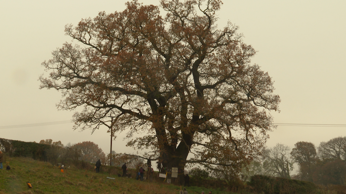 The youngest artist to paint the late Queen joins campaign to save ...