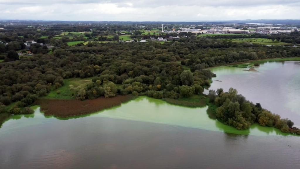 Up Close: Average of over one pollution incident a day in Lough Neagh ...