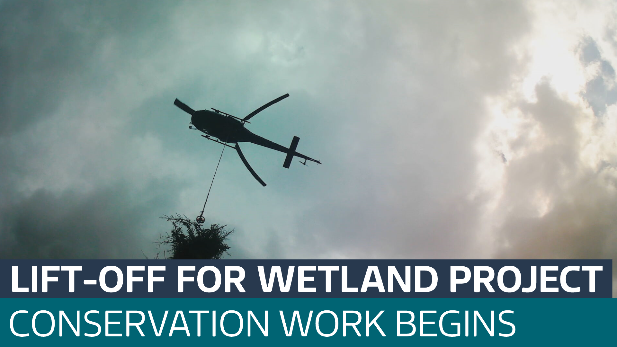 National Trust project aims to transform wetland habitats in Lake ...