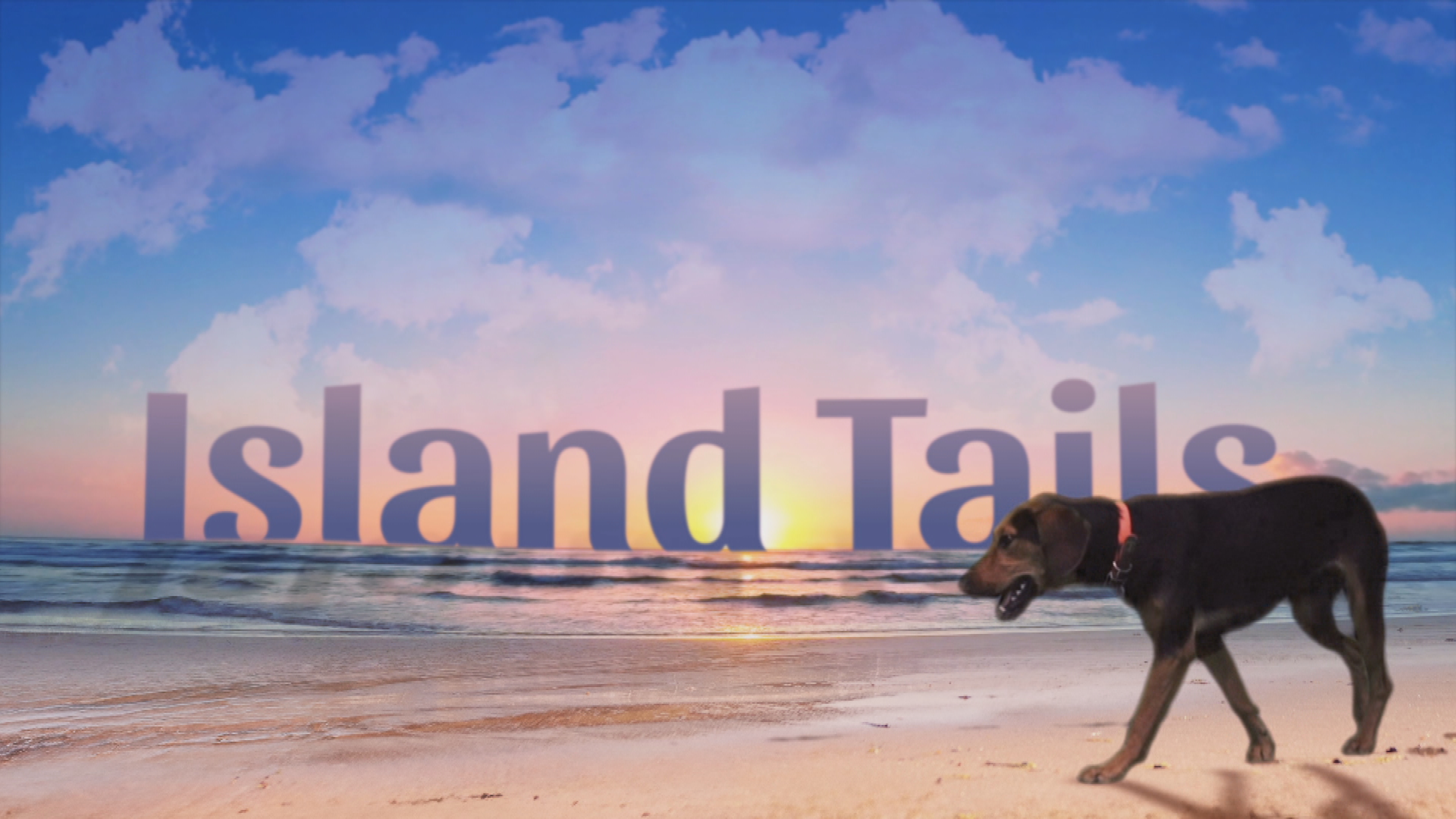 Island Tails | Business leader Alexandra Ruddy: Juggling motherhood and ...