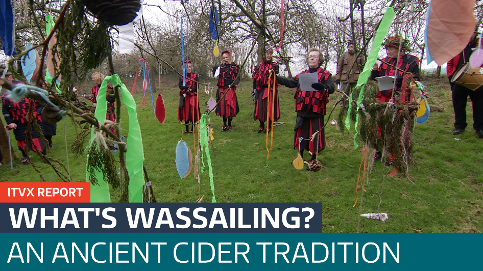 Wassailing: A Medieval ritual aimed to encourage a good harvest of ...