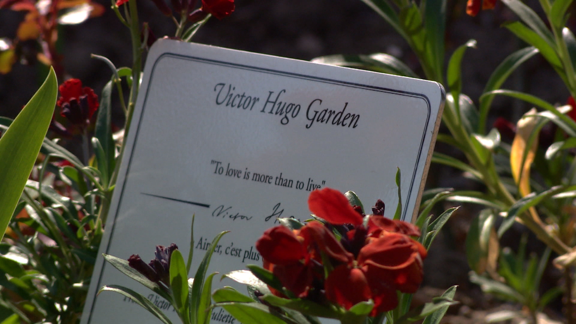 Garden to celebrate the life of Victor Hugo opens in Guernsey | ITV ...