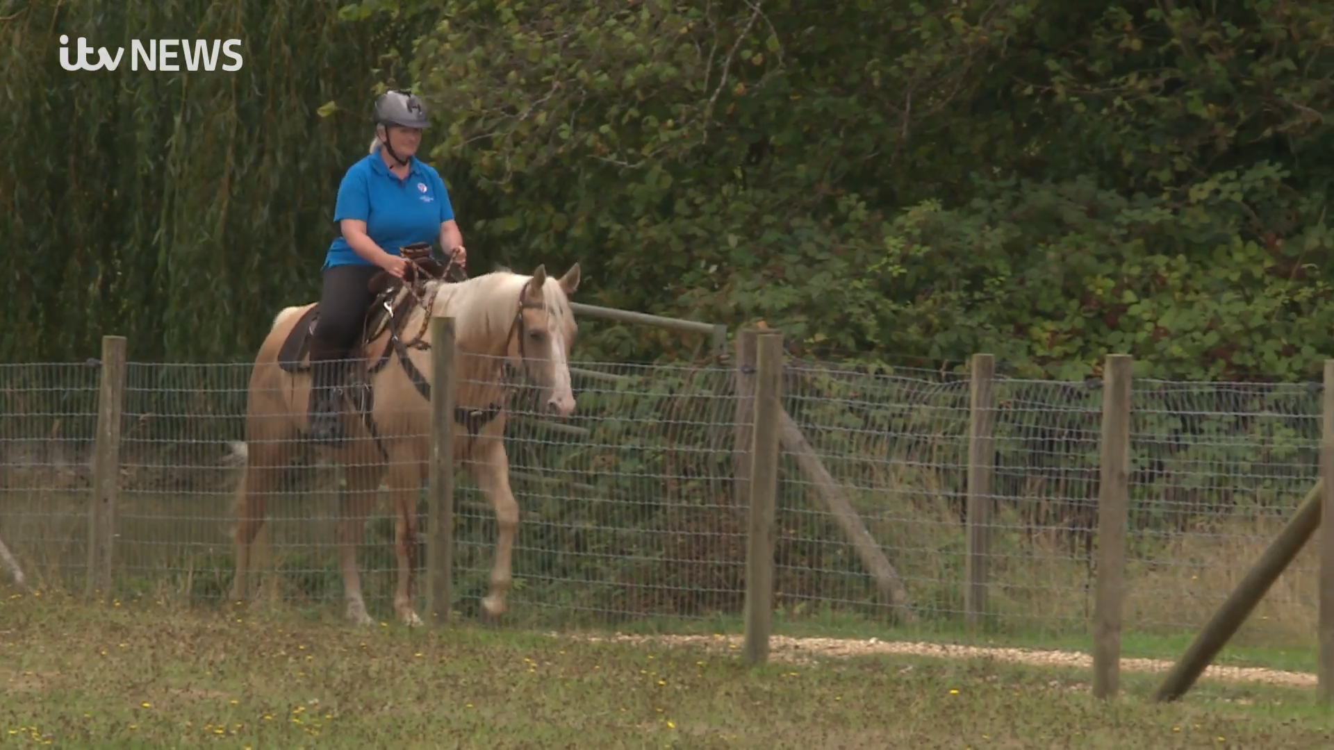 Pride of Britain 2022: New Forest vet who travelled the length of the ...