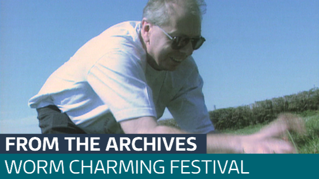 From the archive: Worm charming comes to the West Country - Latest From ...