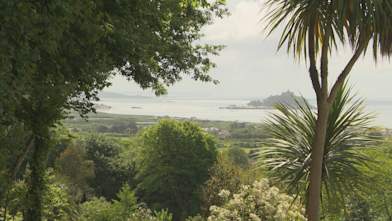 Discover one of the Great Gardens of Cornwall - Latest From ITV News