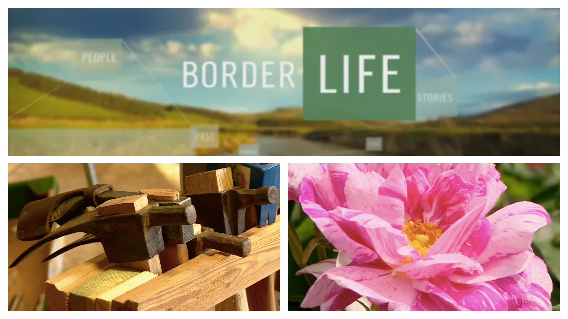 Border Life: The woodworking revival | ITV News Border