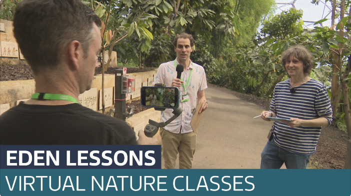 Lessons from Eden Project’s Rainforest Biome beamed around the world ...