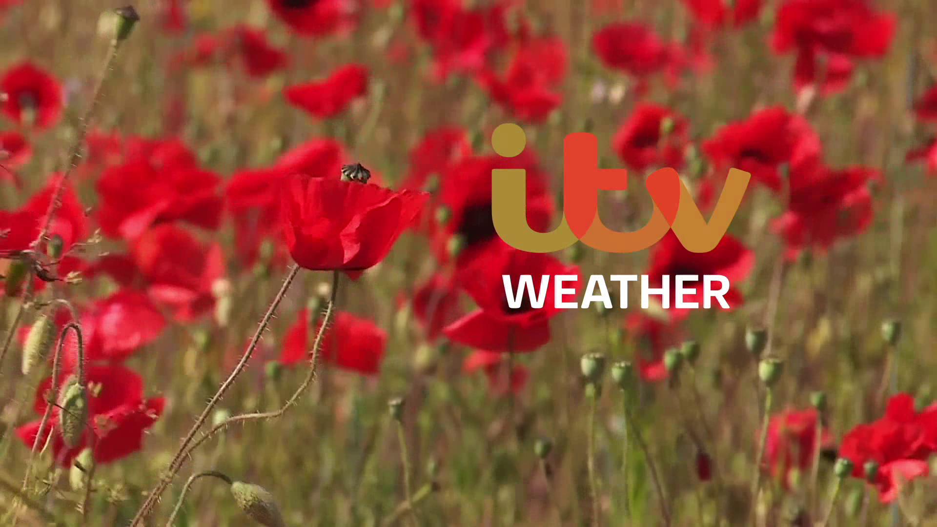 ITV Weather forecast for South West England | ITV News West Country