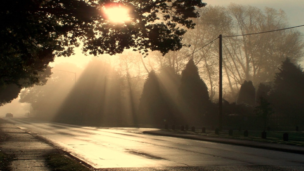 Weather lore holds good for May 2012 | ITV News Central
