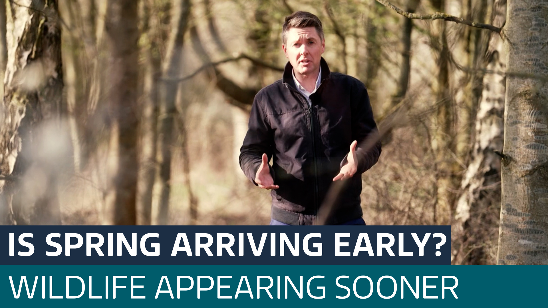 Early signs of spring 'becoming the new norm' due to climate change ...