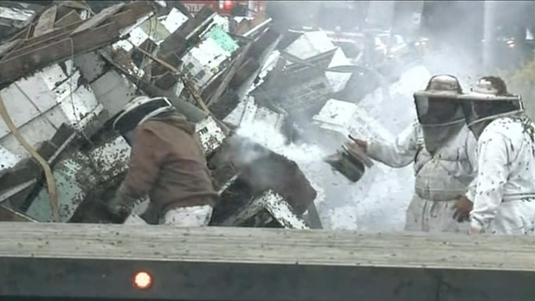 Truck carrying millions of bees crashes on US highway | ITV News