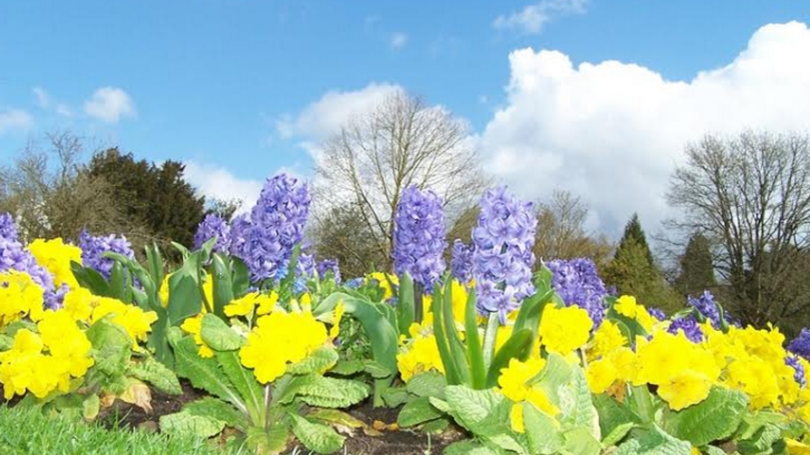 Sunday morning Midlands weather forecast | ITV News Central