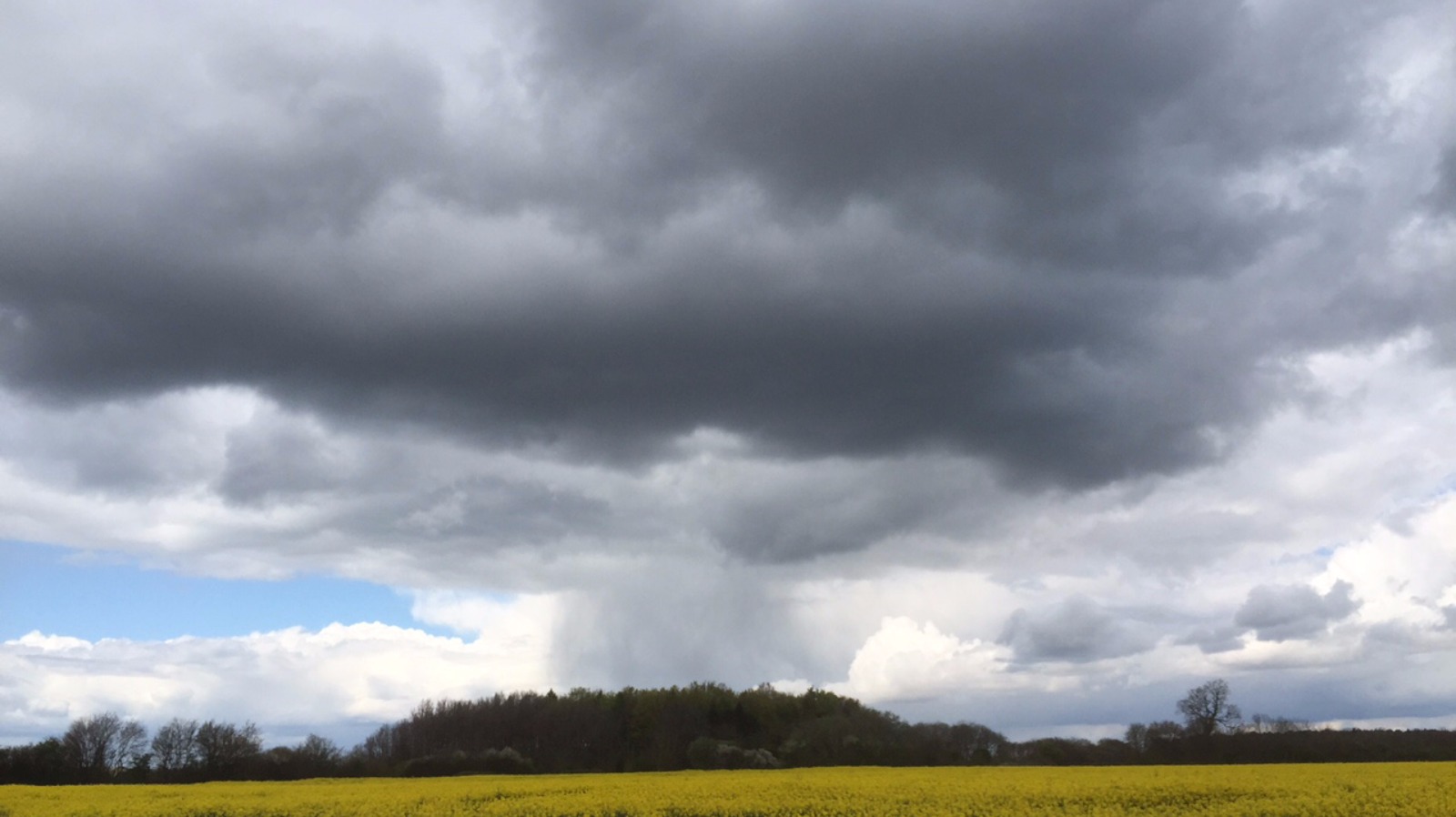 Anglia Weather: Becoming wet and windy overnight | ITV News Anglia
