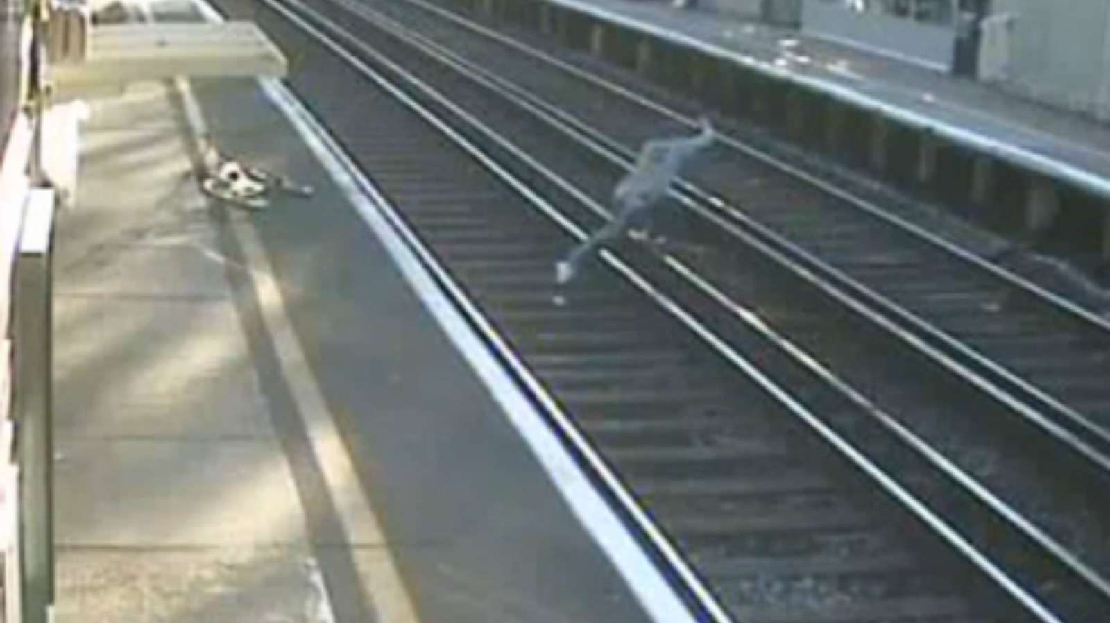Video: Teenager escapes death twice on railway line | ITV News Meridian