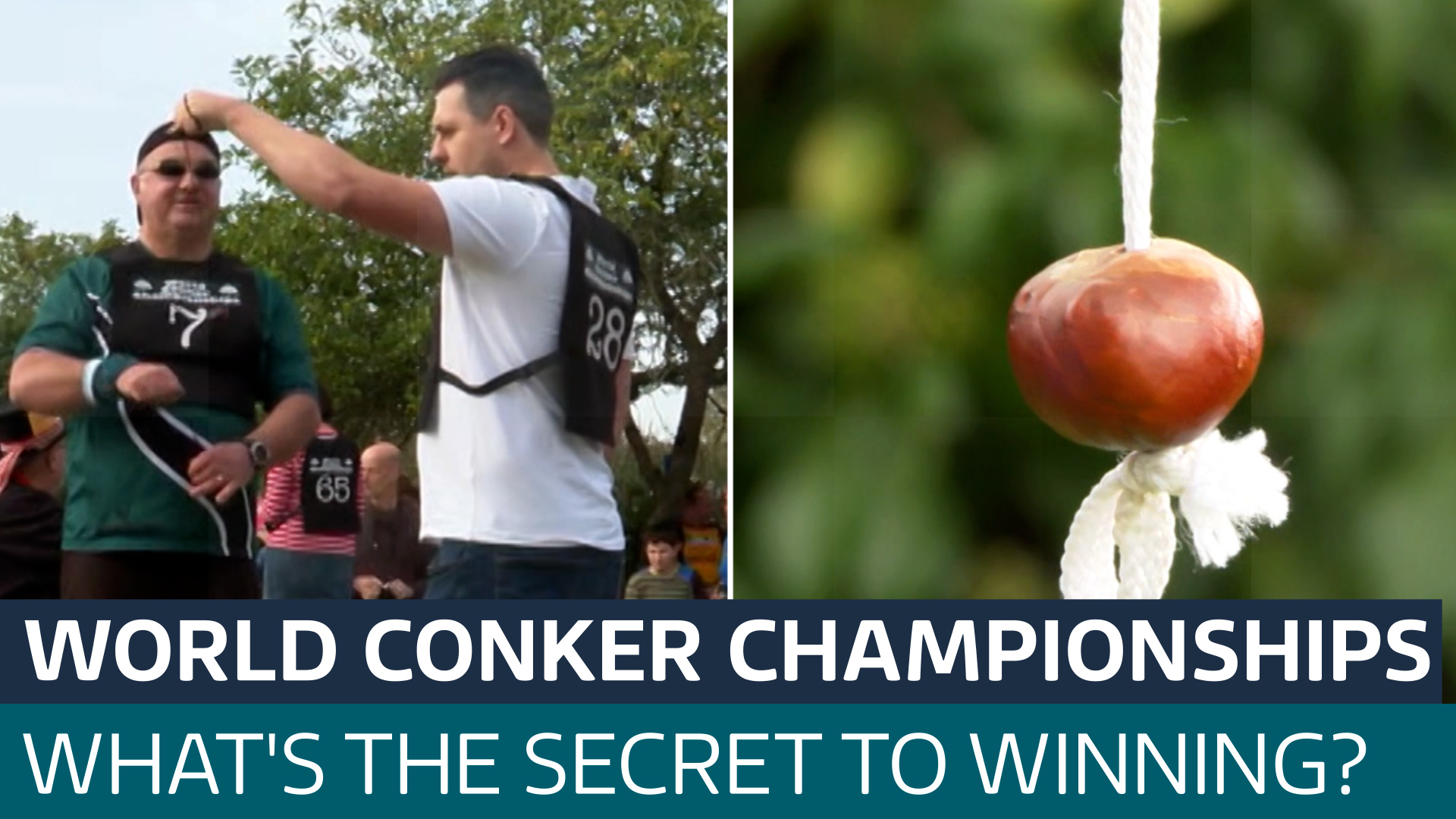 Who conquered at the World Conker Championships? - Latest From ITV News