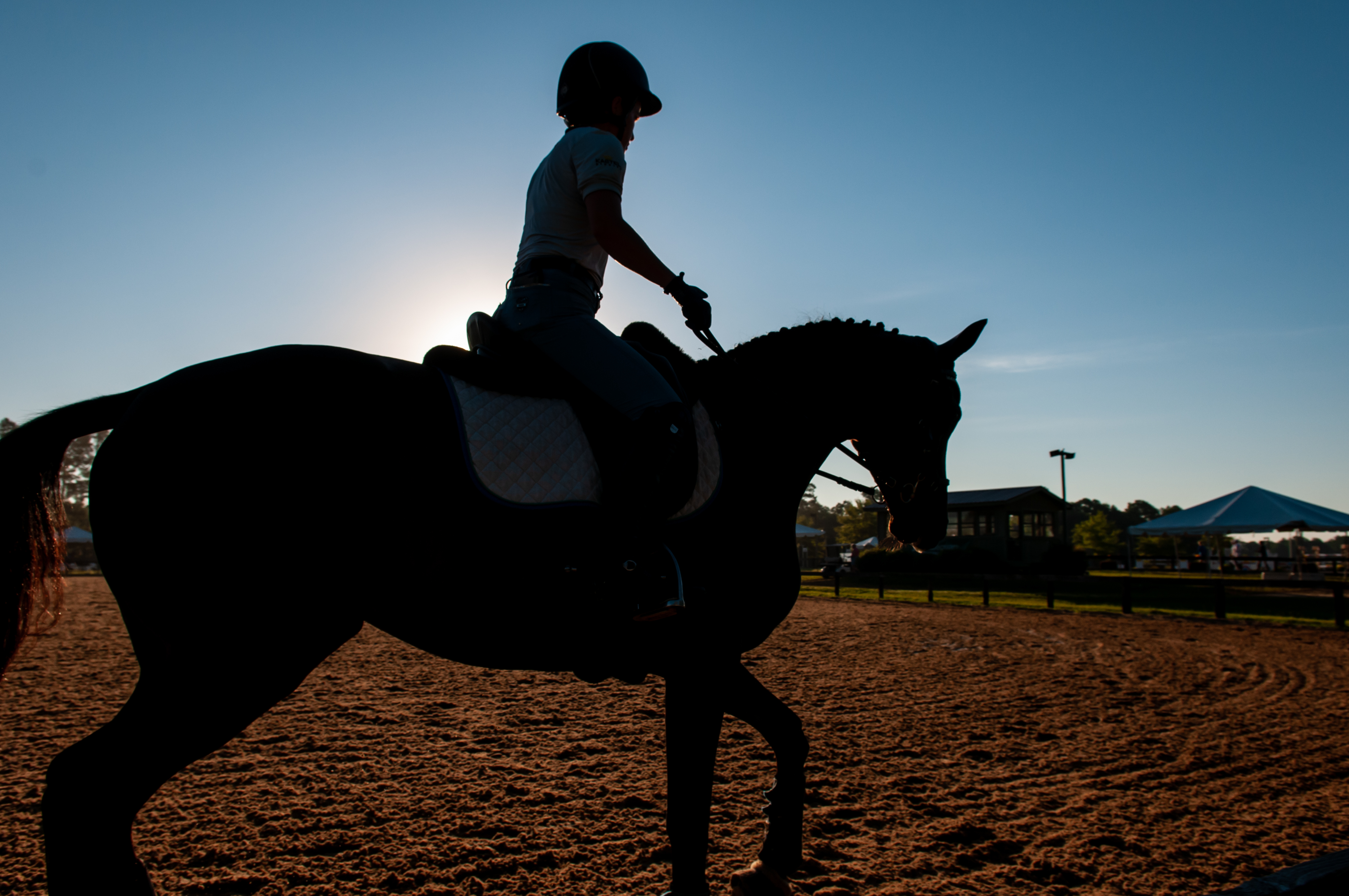Calls to reopen indoor horse riding centres to benefit mental and ...