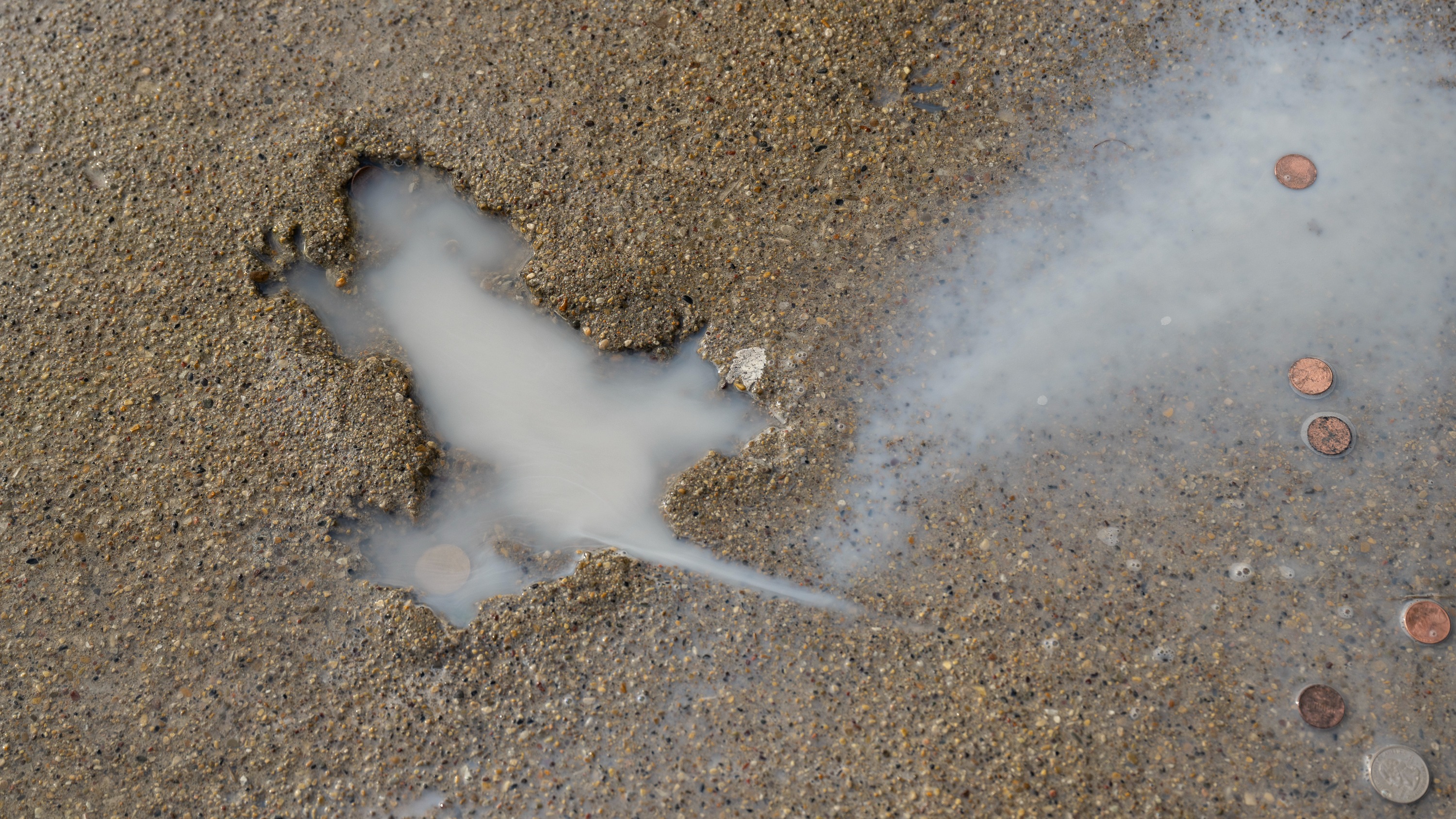 Chicago residents race to restore beloved 'rat hole' after pavement was ...