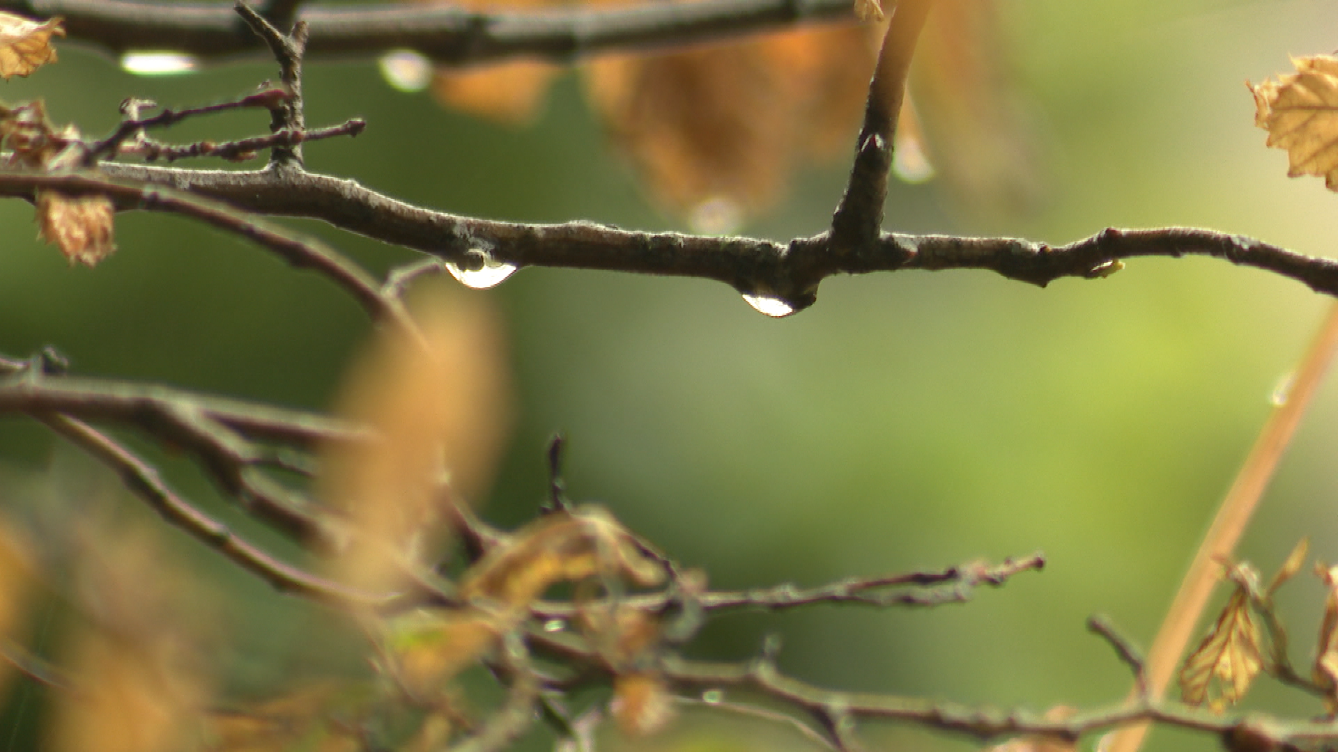 More rainfall than average in NI in September | UTV | ITV News
