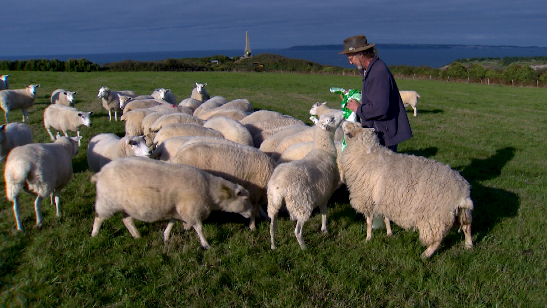 A day in the life of a Sark sheep farmer | ITV News Channel
