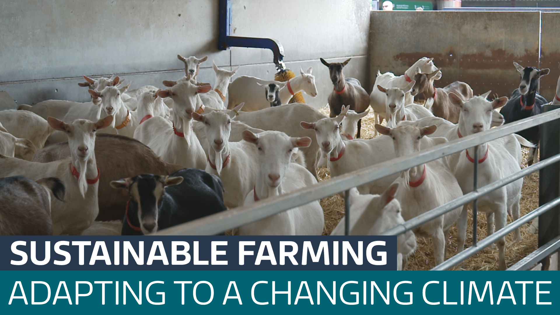 More hot temperatures ahead: How can agriculture adapt to a changing ...