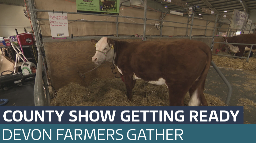 Preparations underway for the Devon County Show - Latest From ITV News