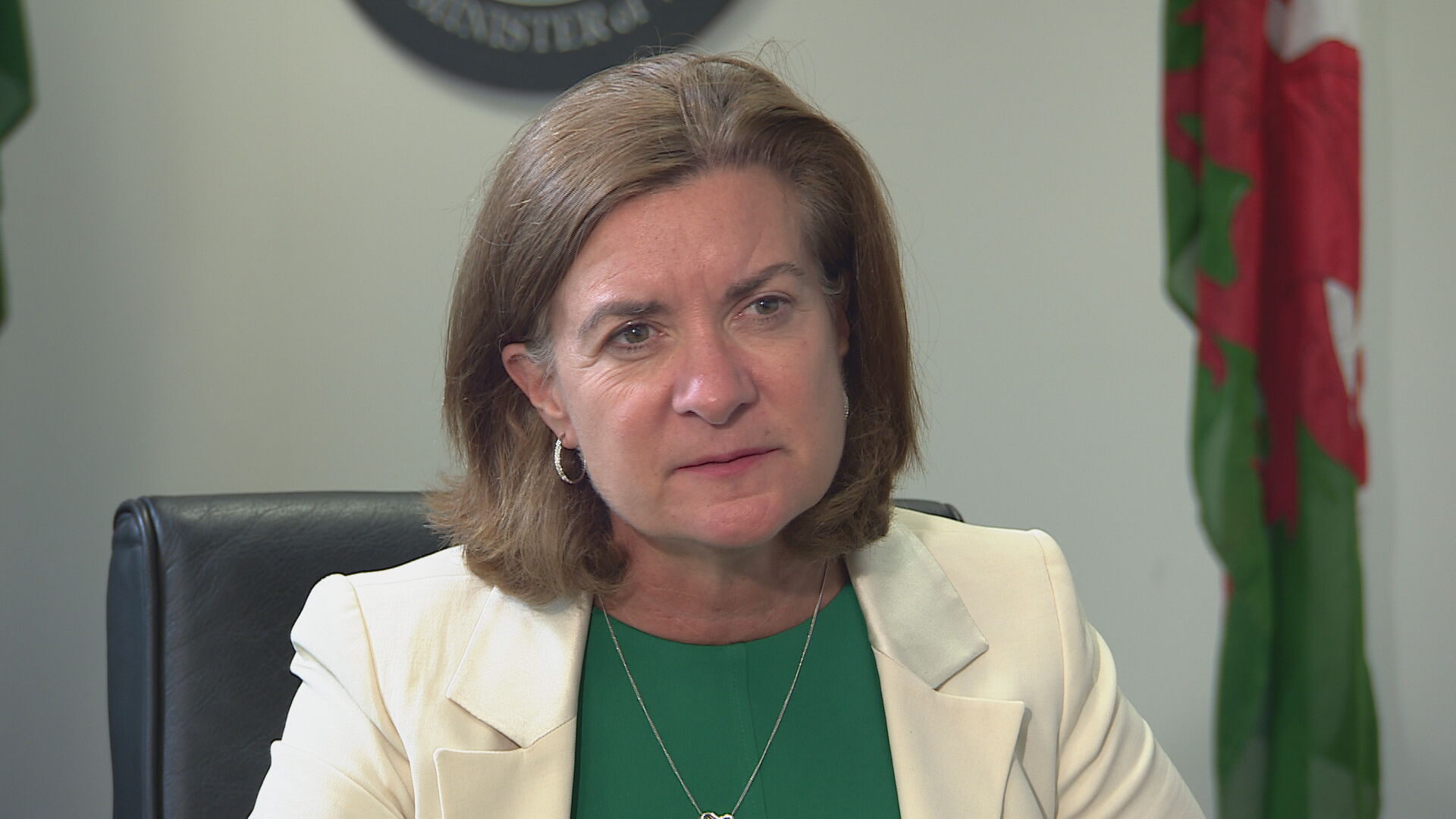 ‘Shared sense of accountability’ needed within the NHS, says Eluned ...