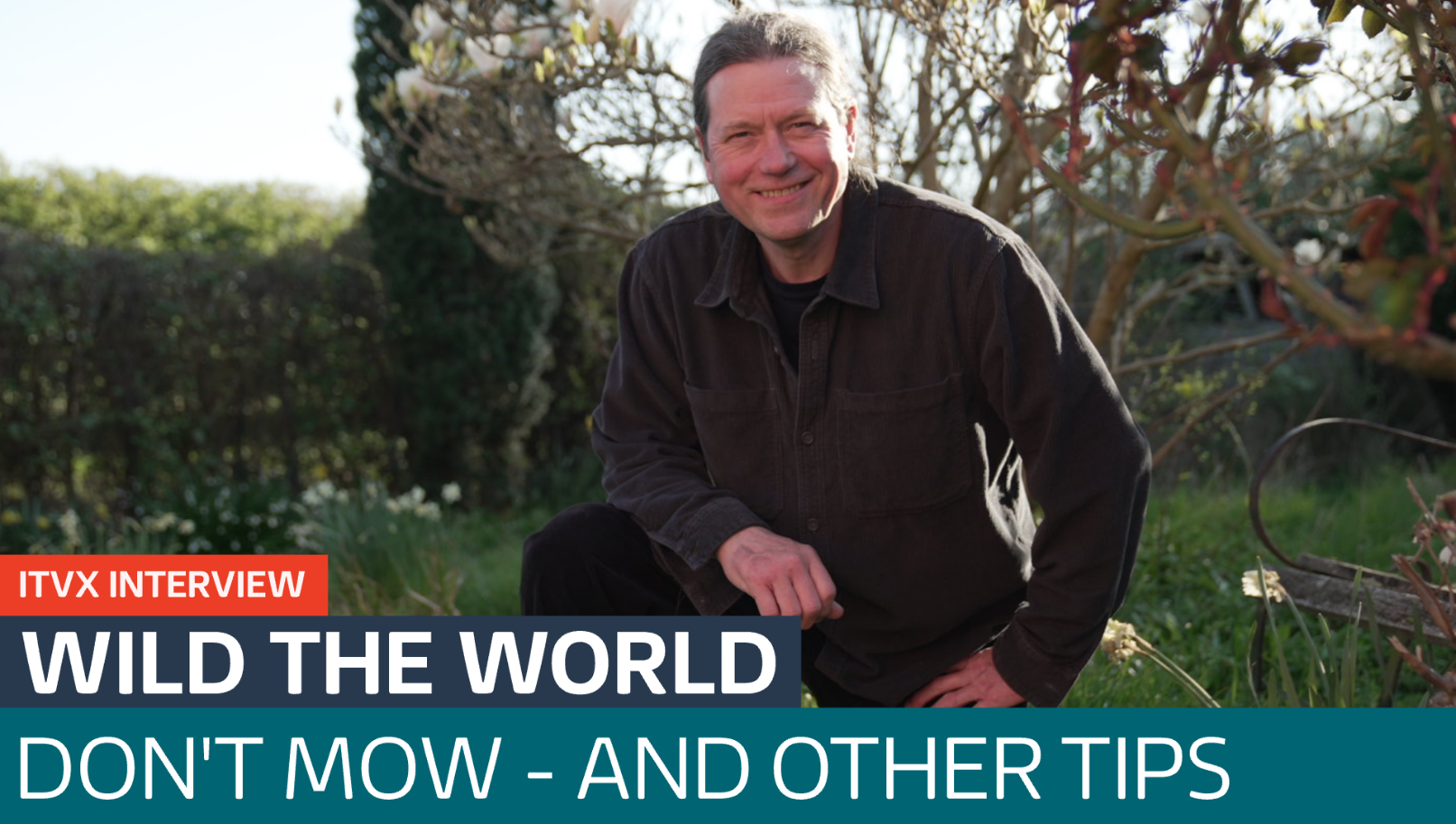 How does your garden grow? Rewilding expert on how to create a wildlife ...