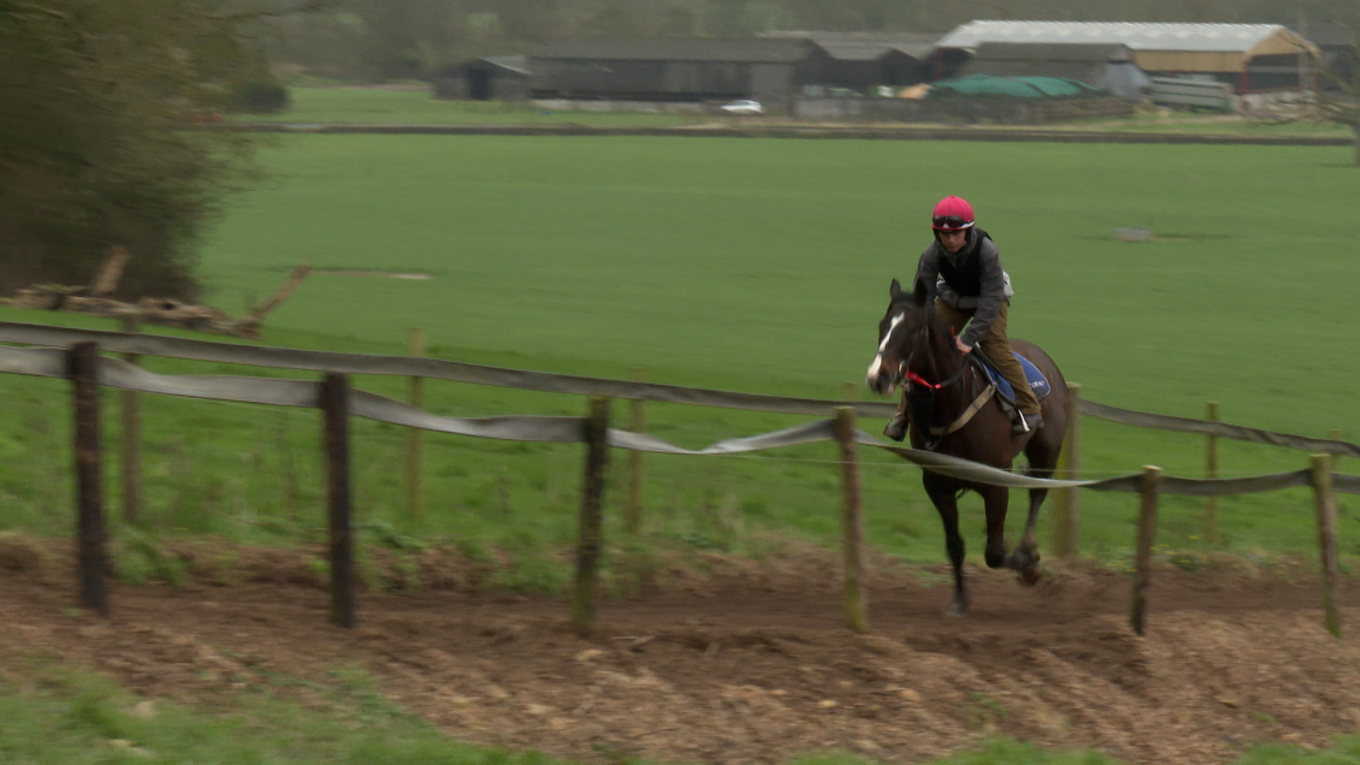 'I'm doing everything for her': Jockey Freddie Gingell ahead of Cheltenham Festival | ITV News ...