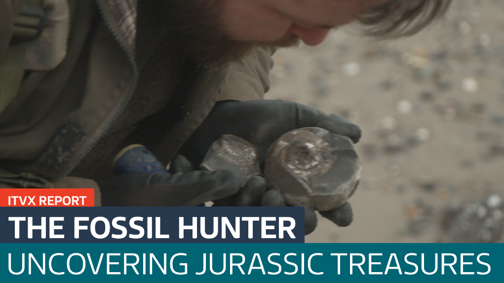 The fossil hunter discovering ancient treasures along the Yorkshire ...