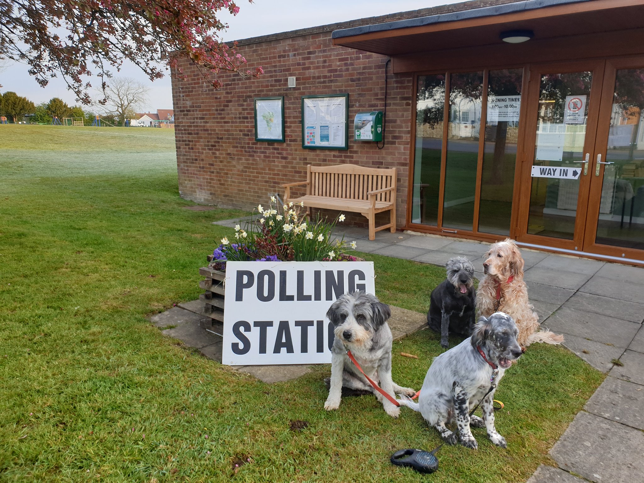 Local elections 2021: The dogs on democratic duty | ITV News Meridian