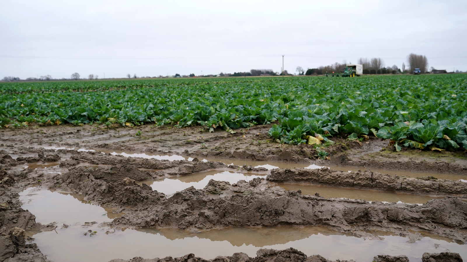 Farmer confidence sinks to all-time low as 82% hit by 'exceptional wet ...