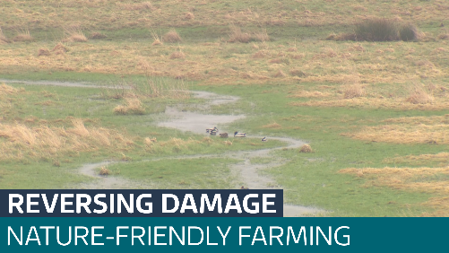 'Radical new farming' - old agricultural methods ditched at estate to ...