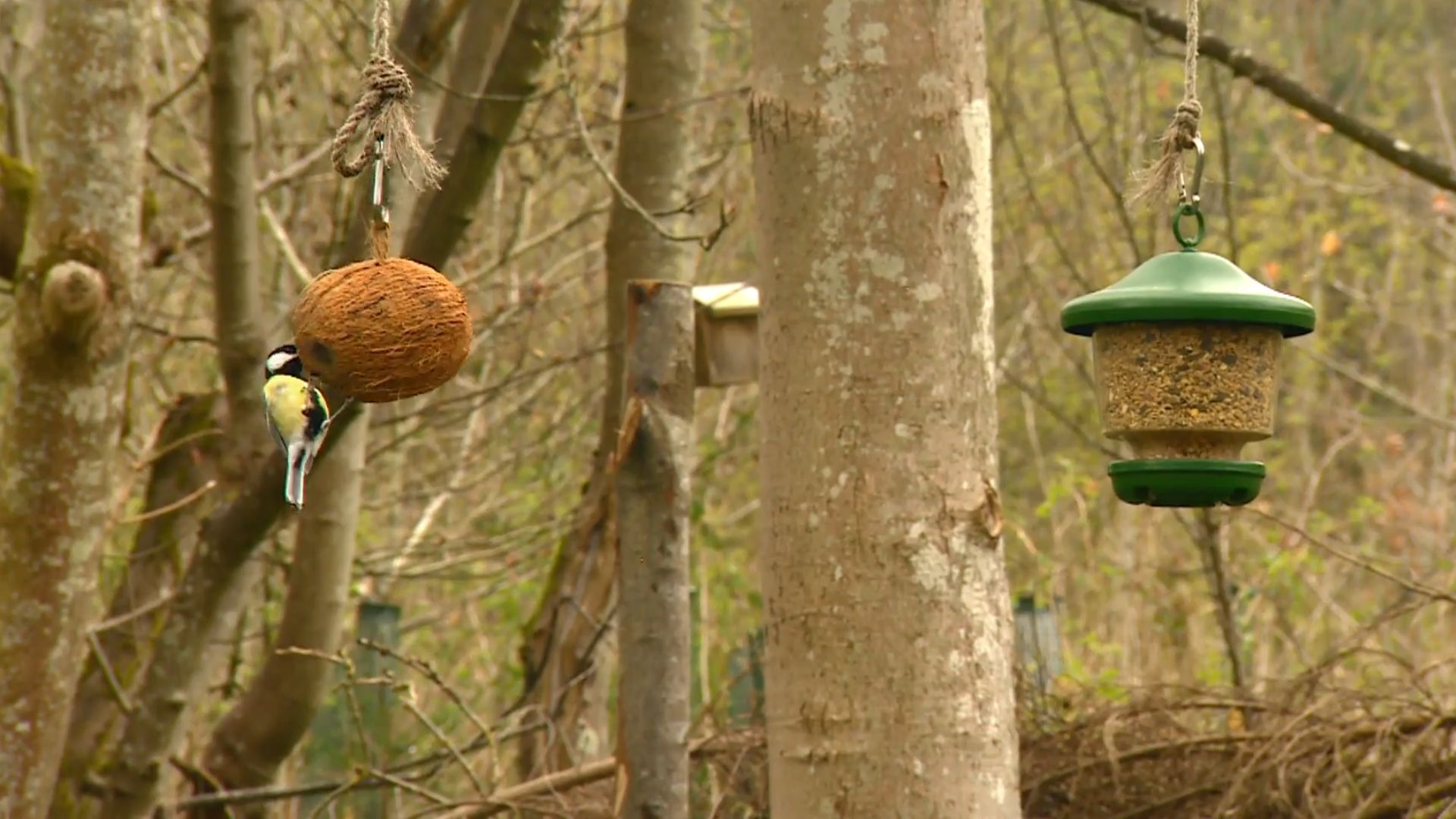 Great success for Borders nature project | ITV News Border