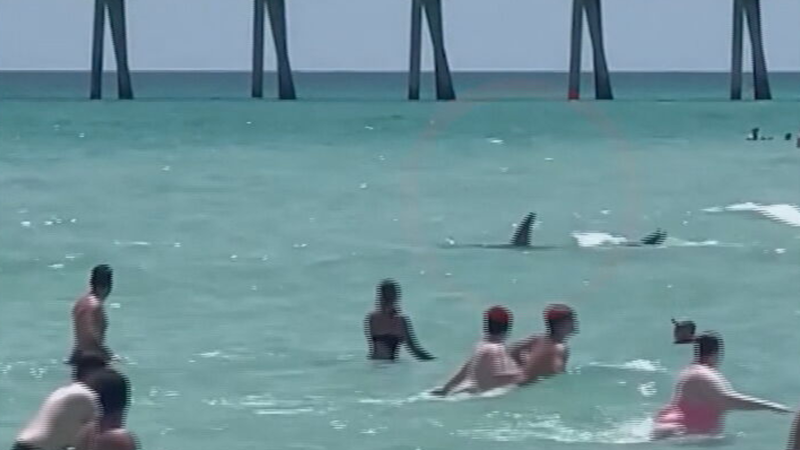 Are shark attacks on the rise and is climate change impacting amount of ...