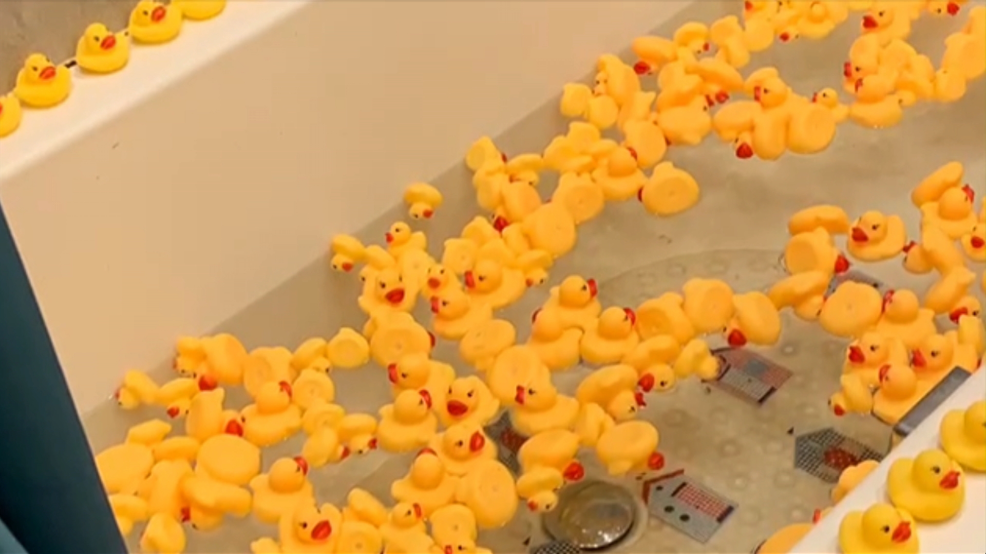 Jersey prankster fills parents home with 4,670 rubber ducks | ITV News ...