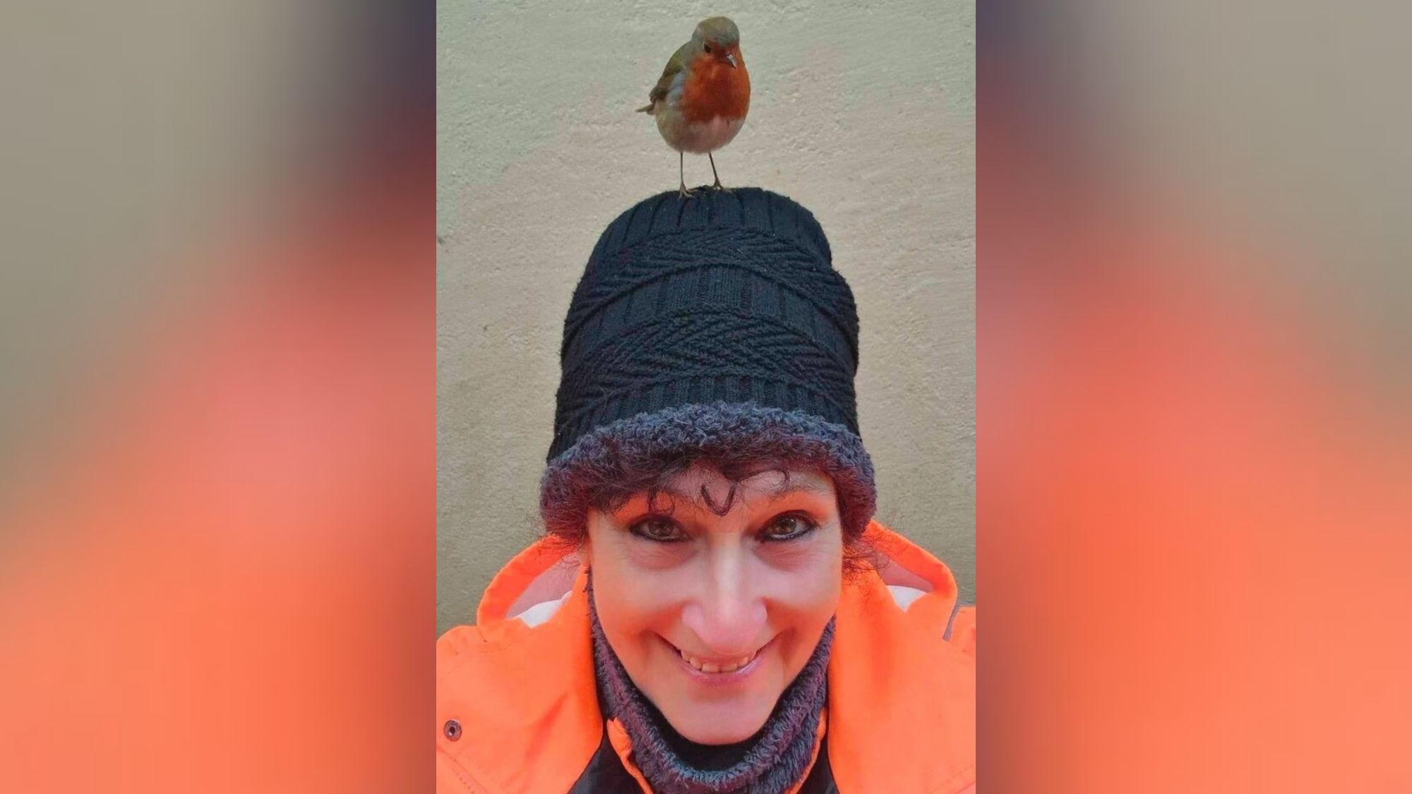 Devon woman befriended by pair of robins believes they are 'a gift ...