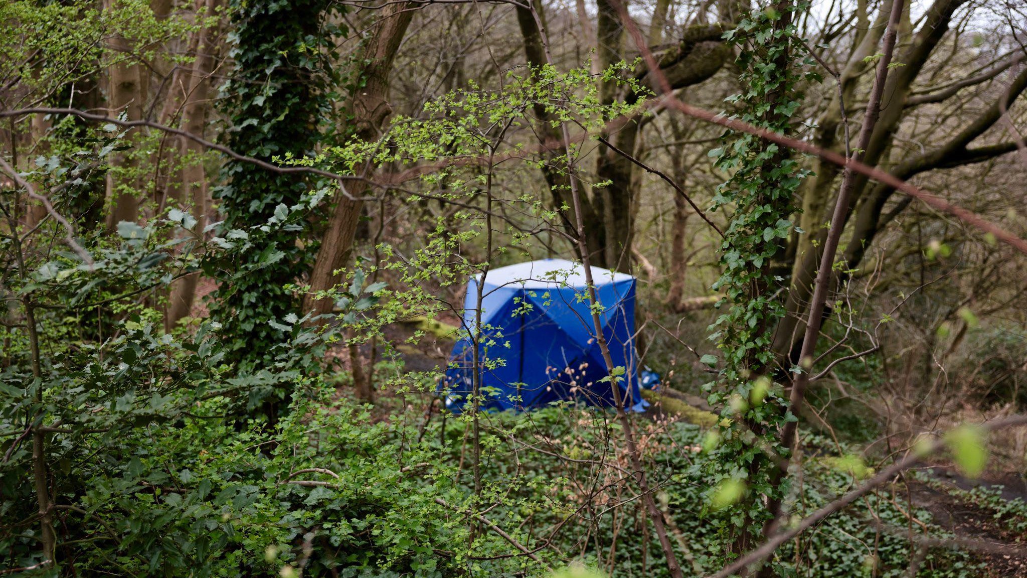 Police 'search for other body parts' after torso found wrapped in ...