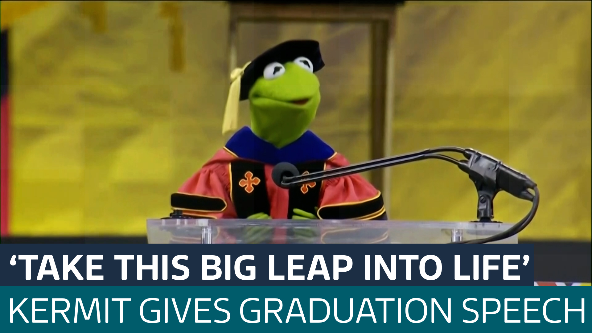 Kermit the frog gives graduation speech at the University of Maryland ...