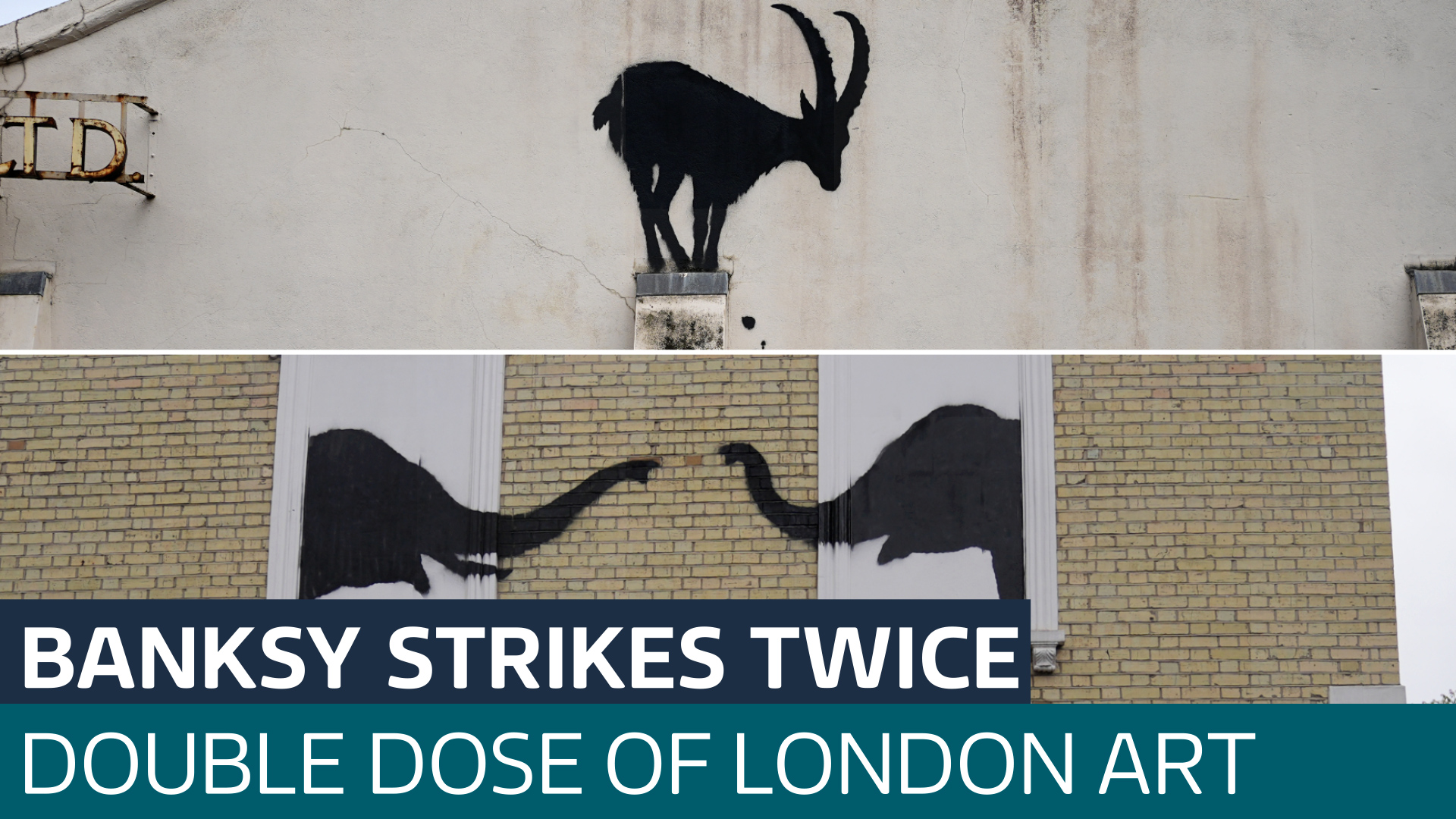 Banksy adds to animal artwork collection in London with new elephant ...
