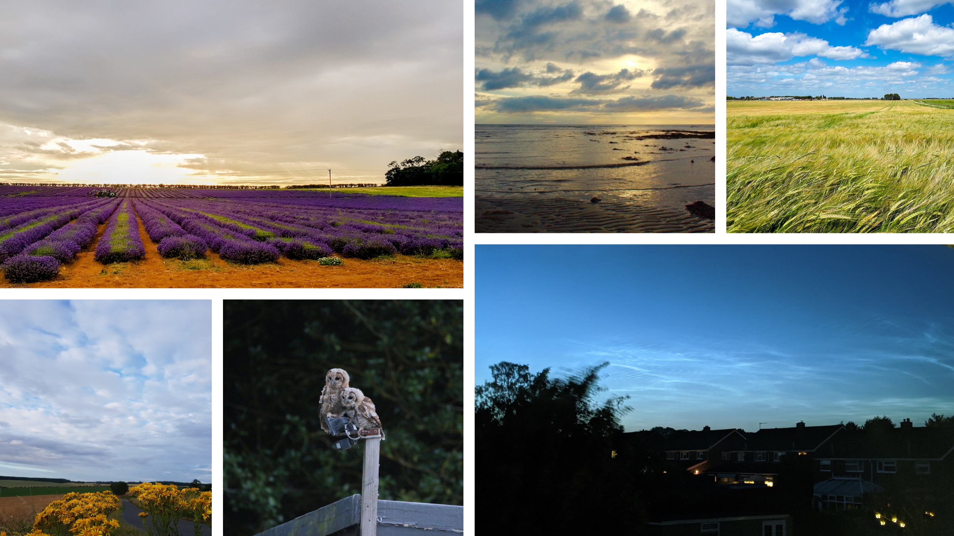 Your weather pictures from around the Anglia region July 2020 | ITV ...