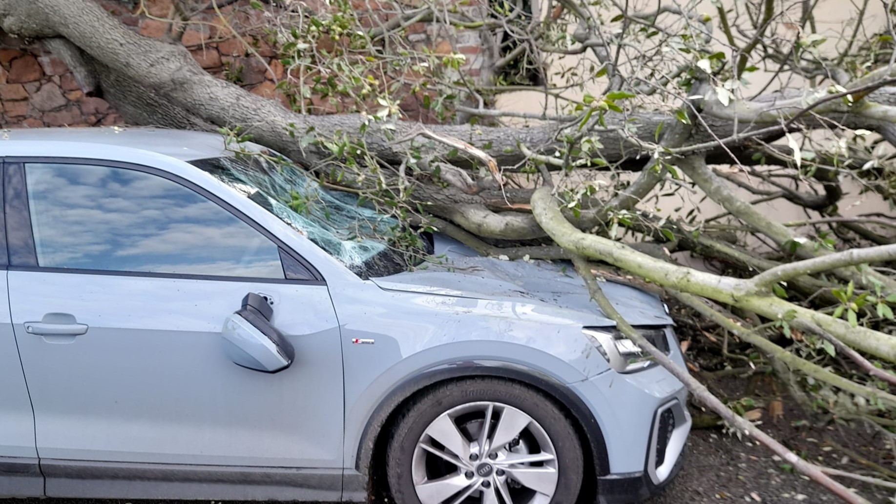 Driver escapes injury after car crushed by falling tree in St Saviour ...