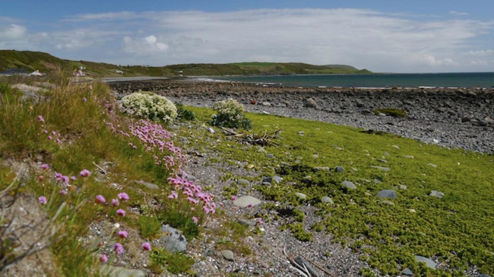 Weather: Wet and windy | ITV News Border