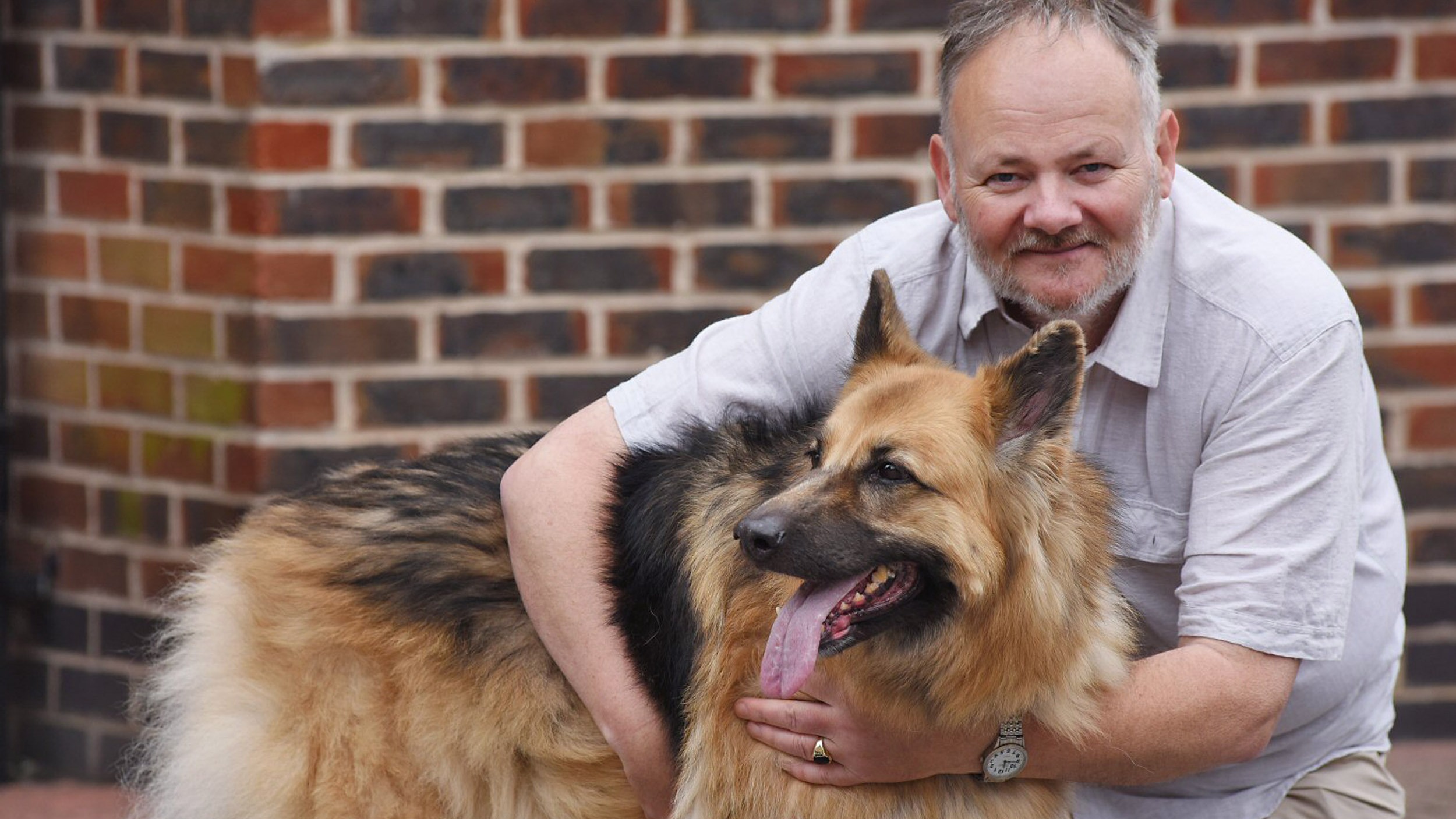 Rescue dog honoured after saving owner's life | ITV News
