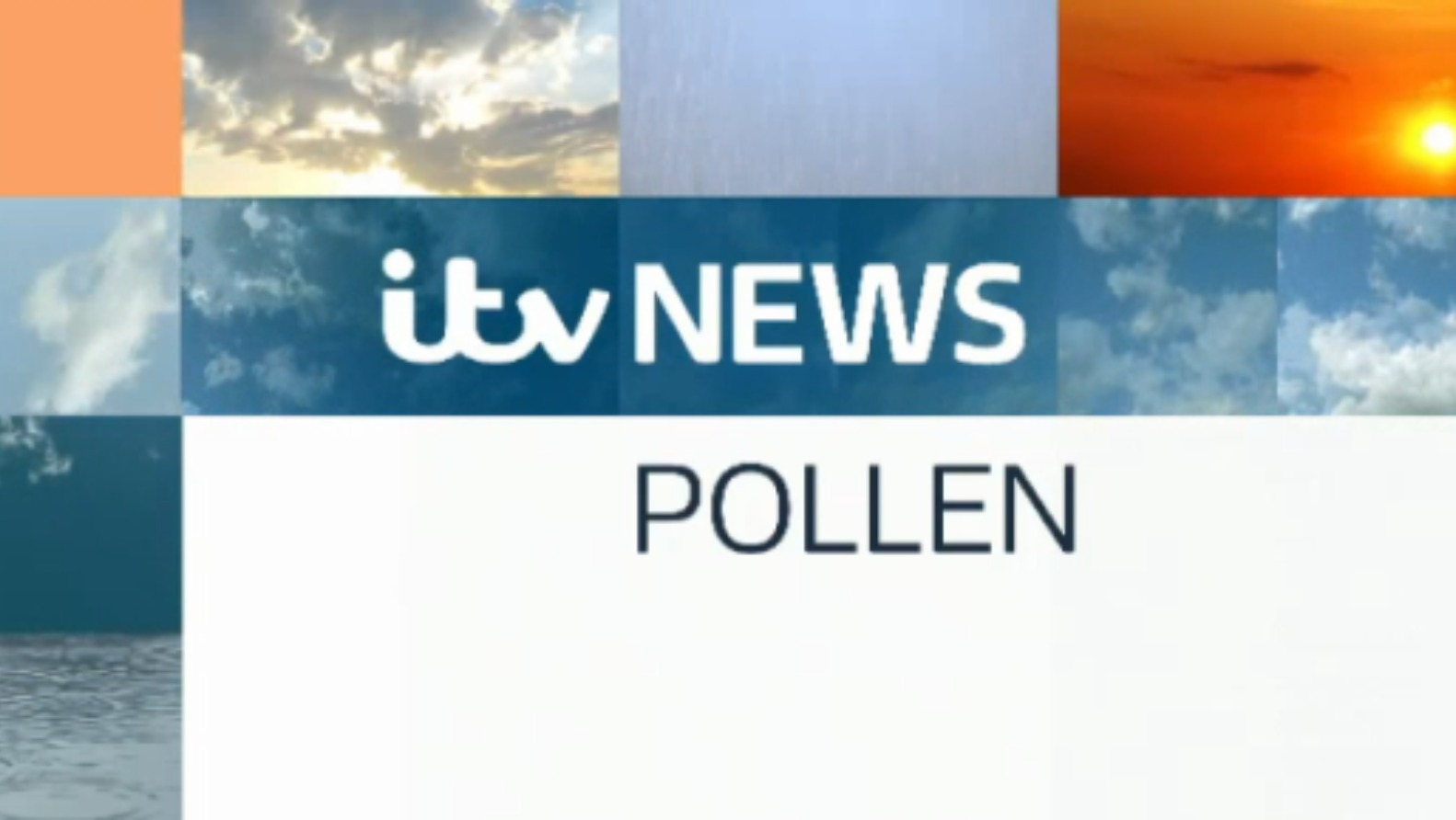 Latest Pollen Forecast | ITV News Meridian